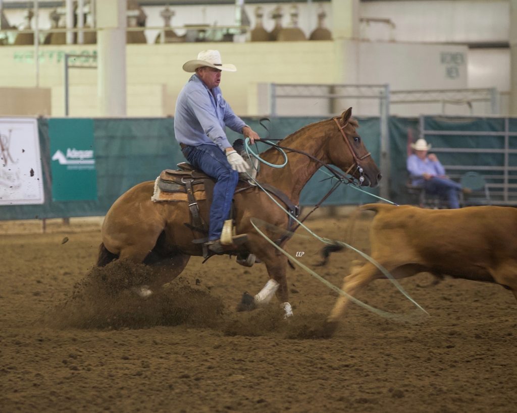 Steve Orth Wins First and Second in ARHFA Cornhusker Classic Heeling