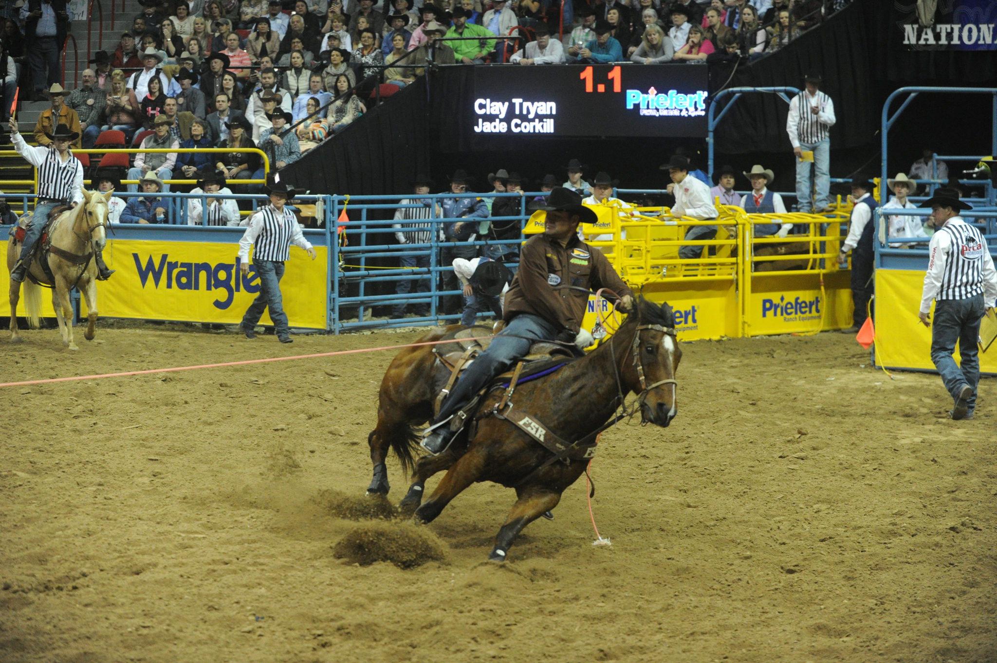 The Best Rope Horses That Lasted the Longest - The Team Roping Journal