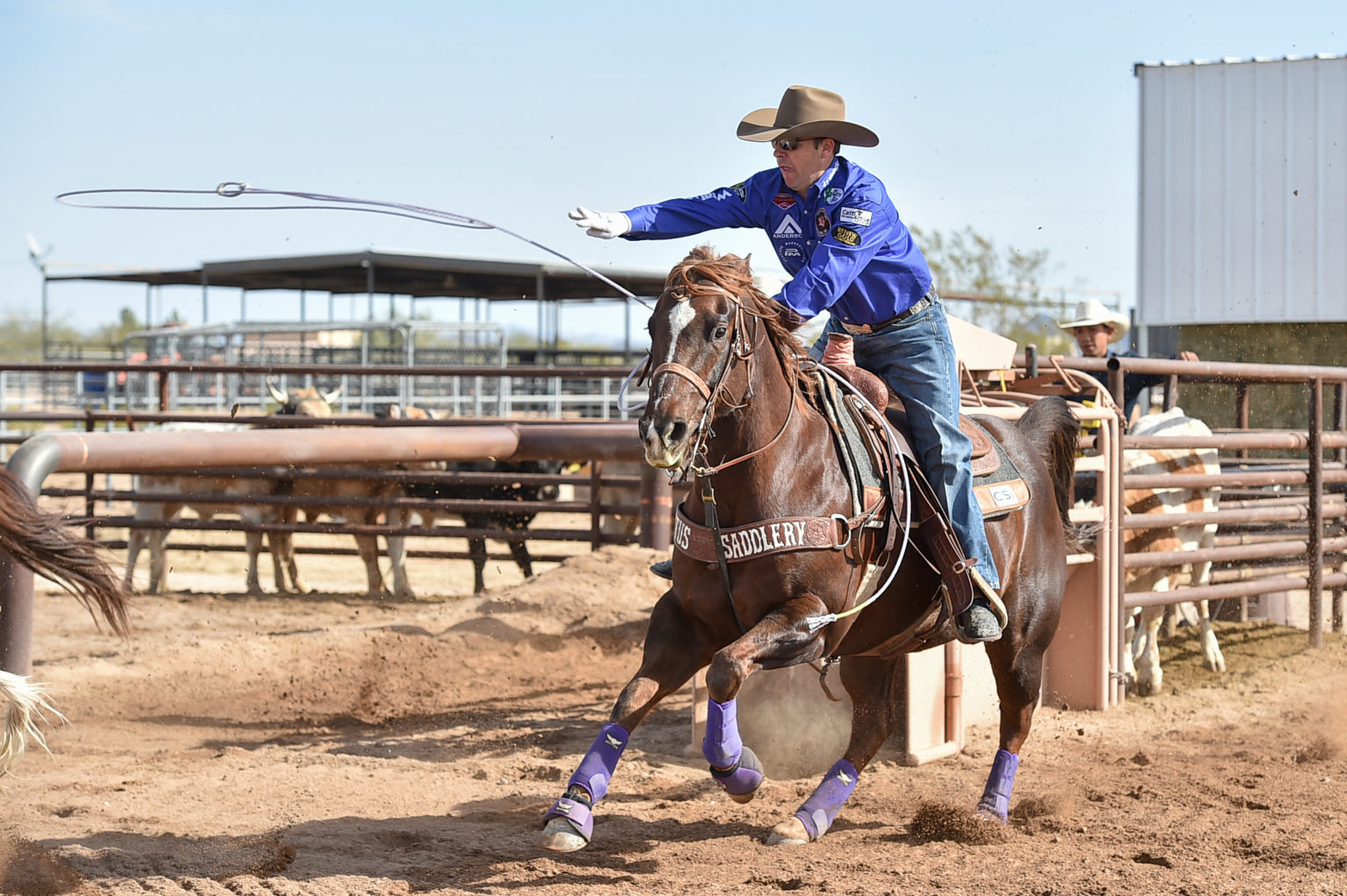 The Best Rope Horses That Lasted the Longest - The Team Roping Journal