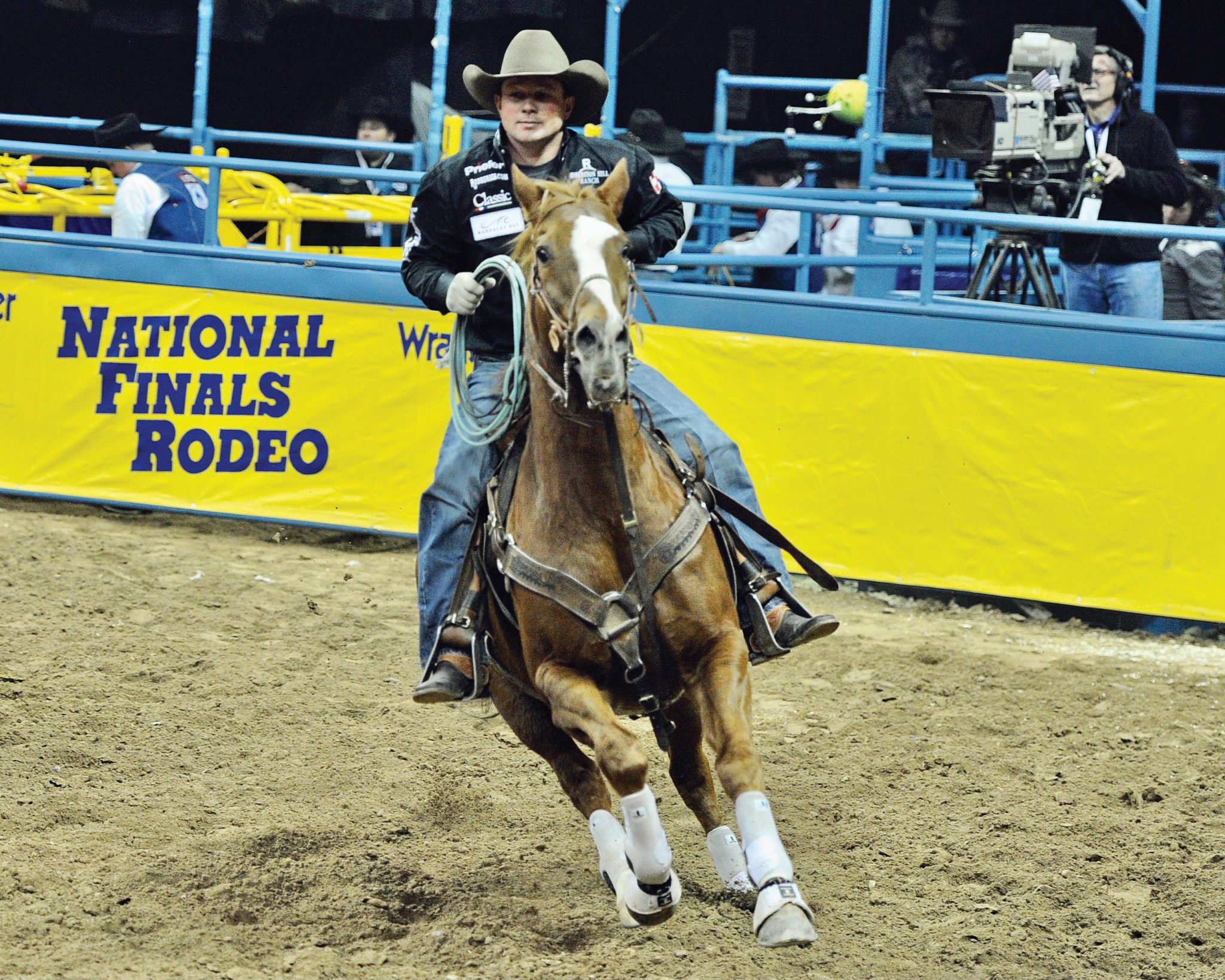 The Best Rope Horses That Lasted the Longest - The Team Roping Journal