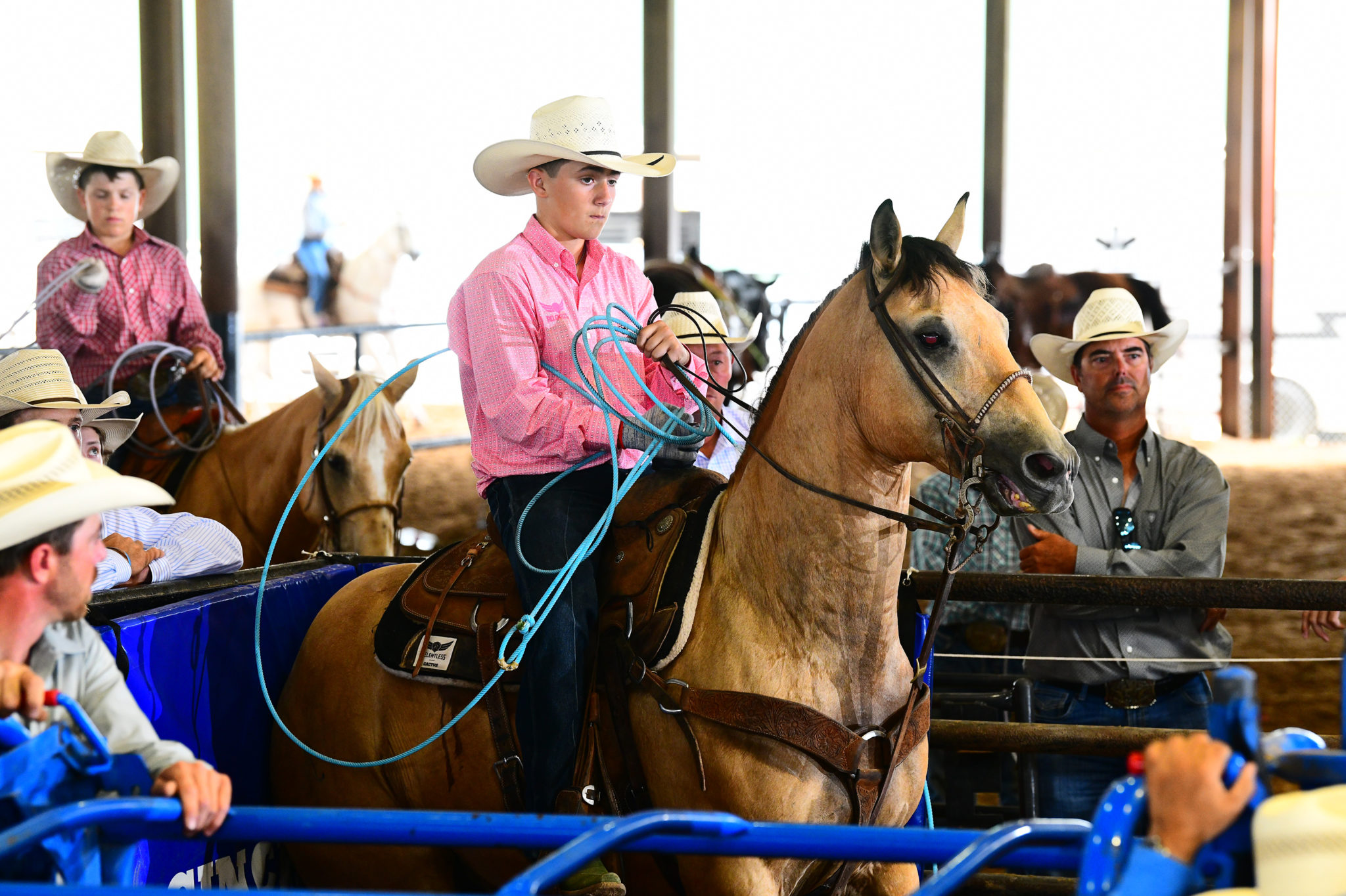 Junior Rodeo Head Horse Checklist