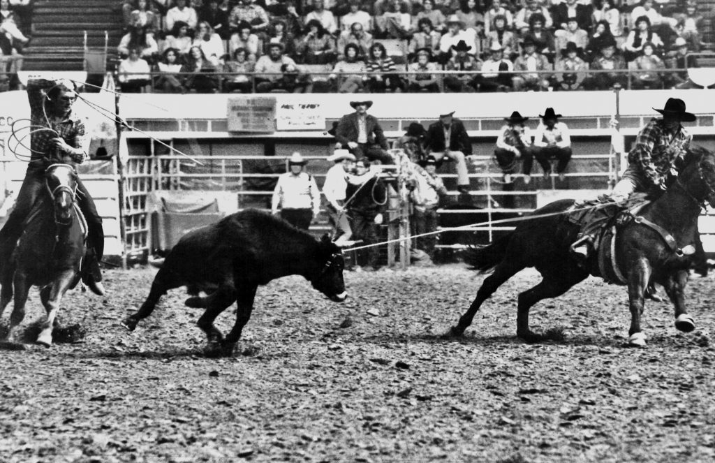 It’s a Jungle Out There