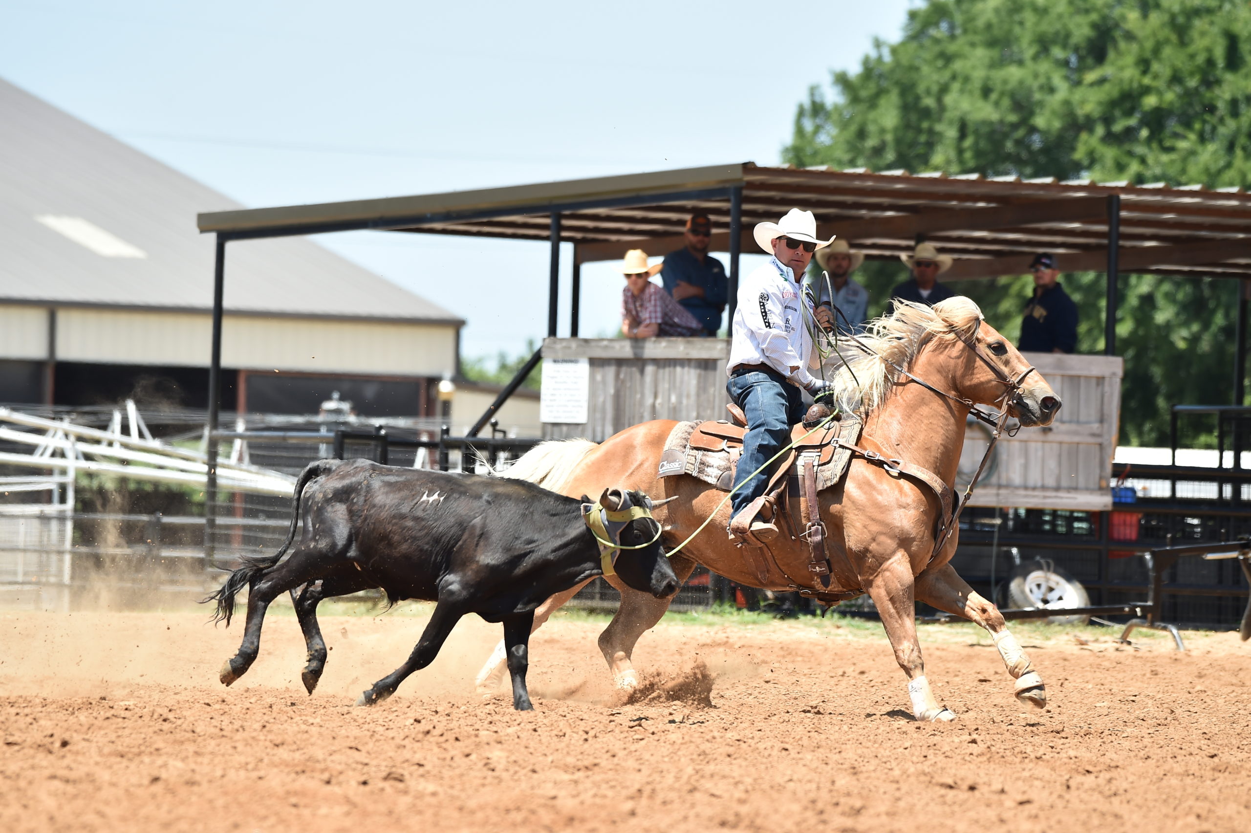 Luke Brown's Fast Time Dies of Colic
