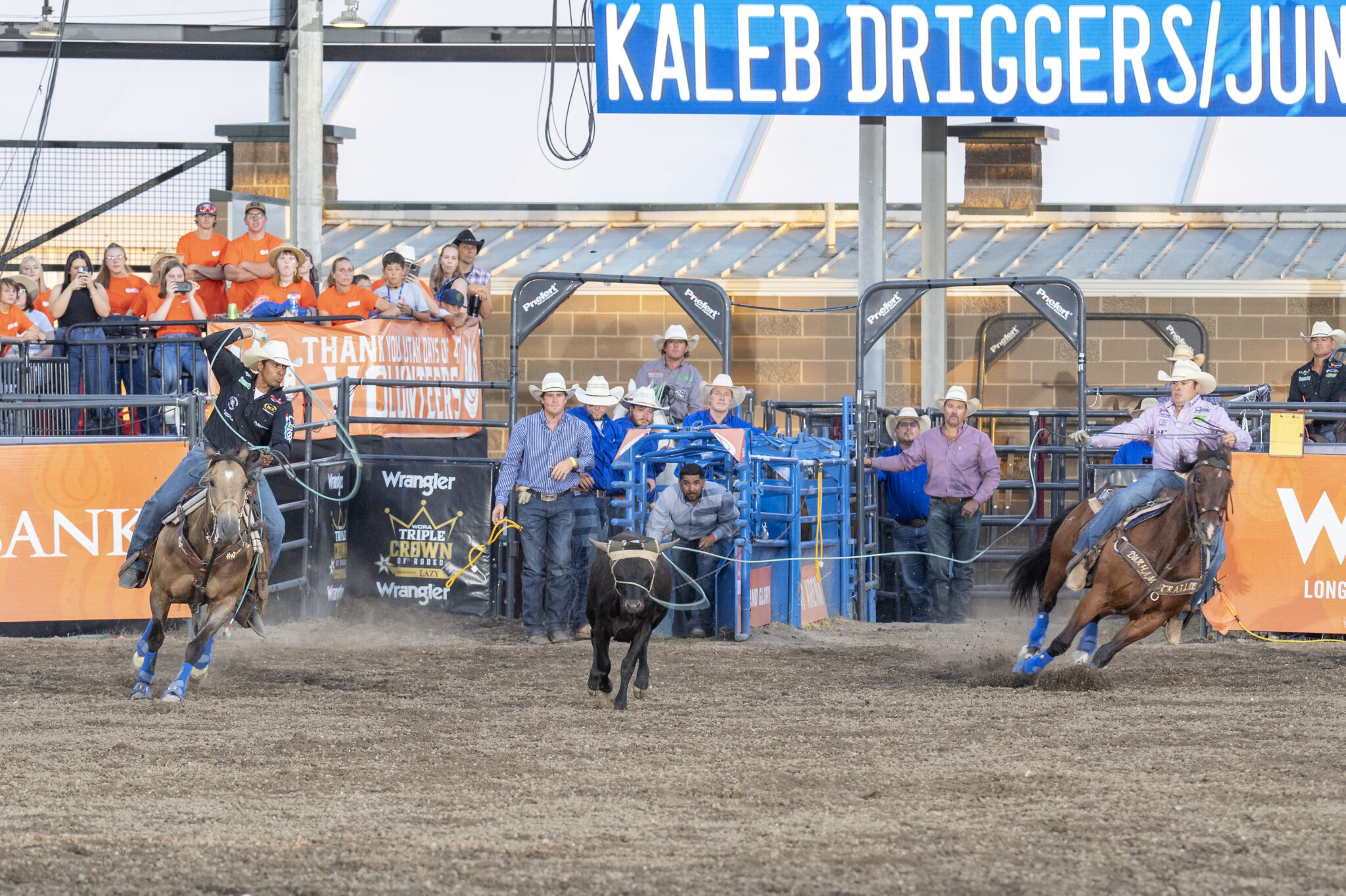 Driggers and Nogueira Collect $25K and Gold Medals at WCRA Days of ’47 ...