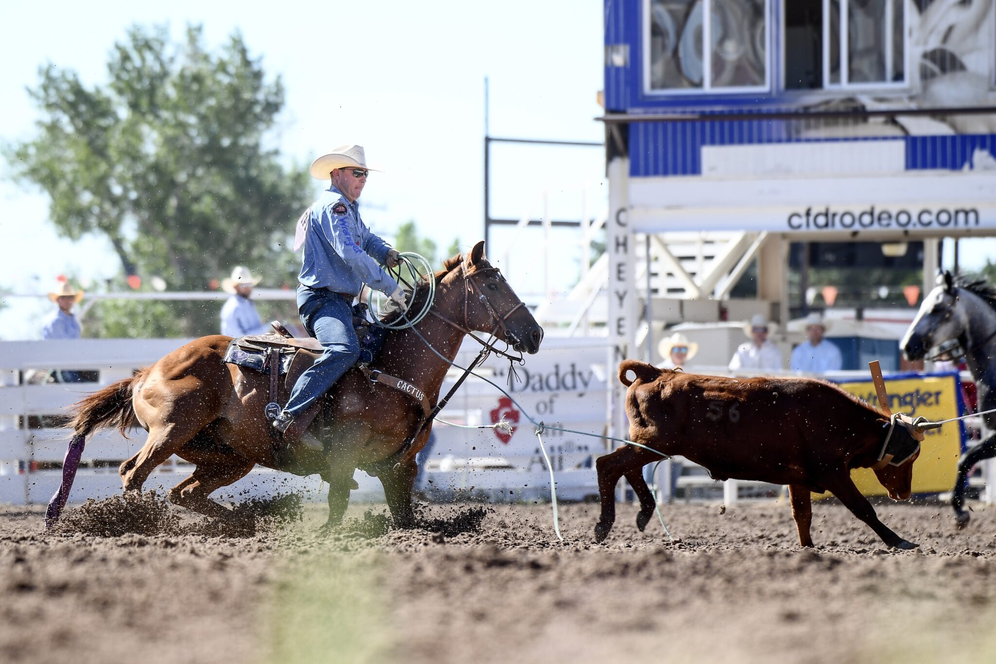 Riley and Brady Minor Win Casper and Cheyenne First Round
