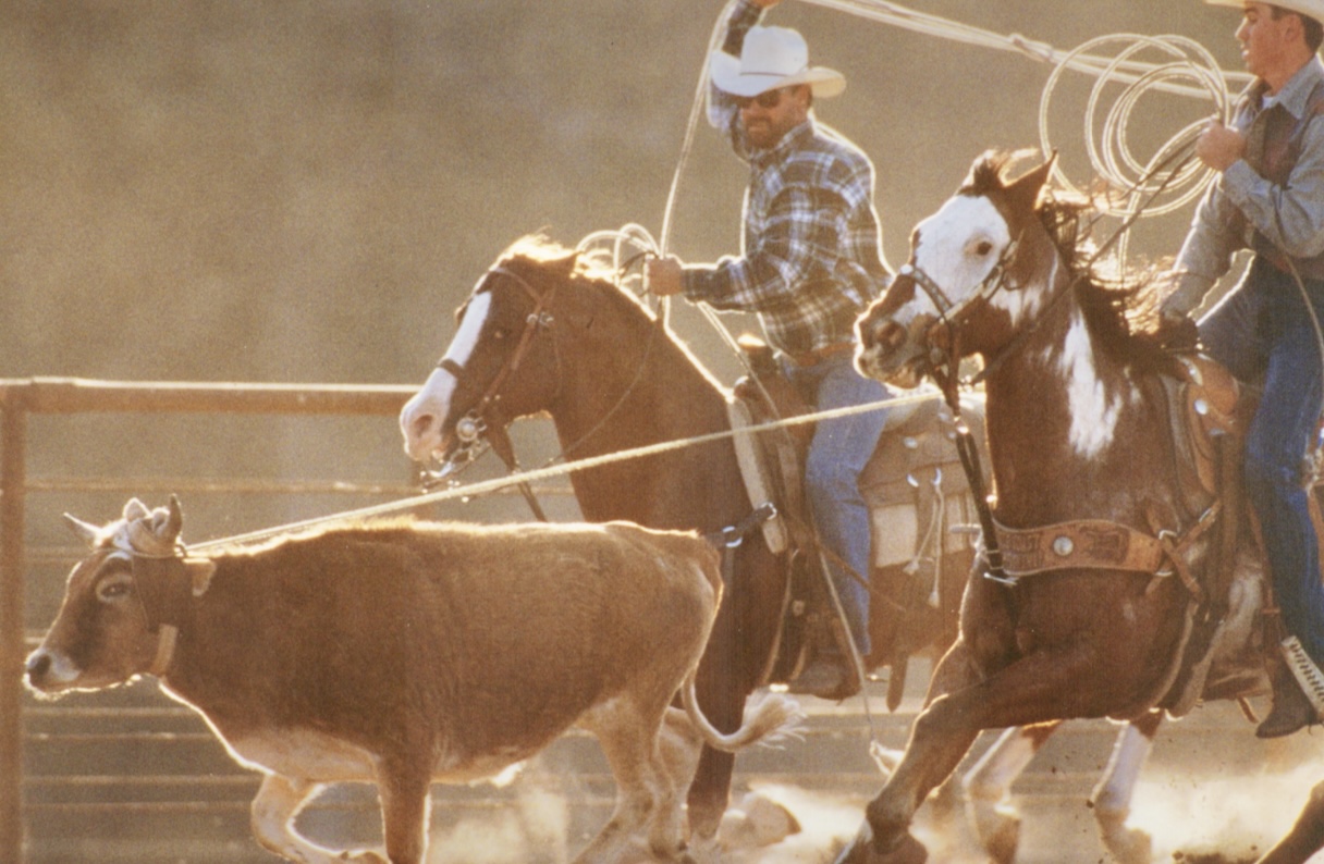 Rest in Peace, Mark Gomes