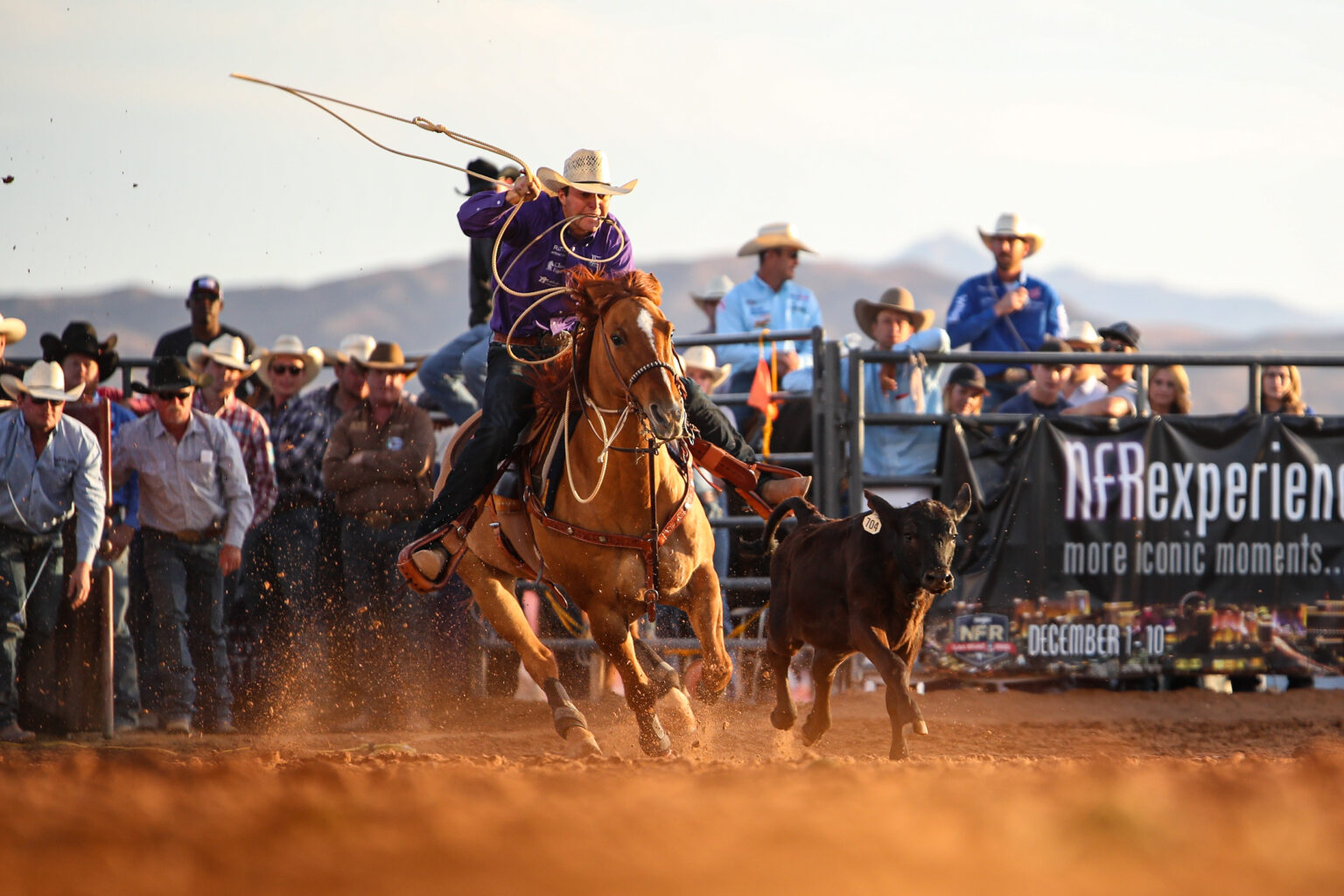 Trevor Hale in Hot Pursuit of Resistol Rookie of the Year