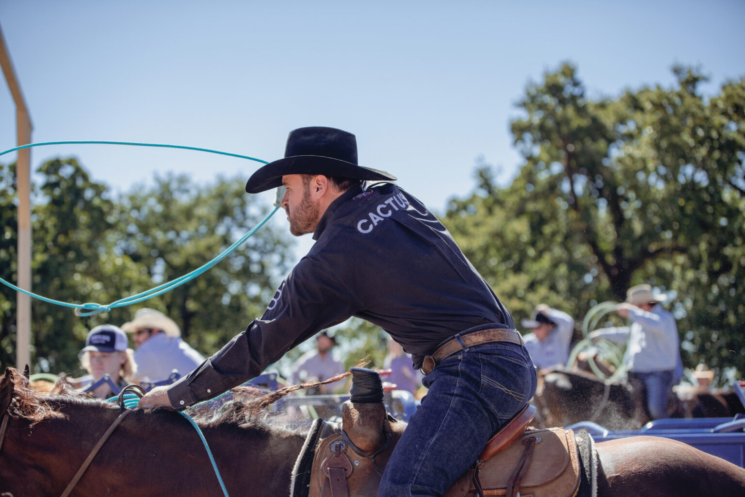 Top 5 Team Roping Videos
