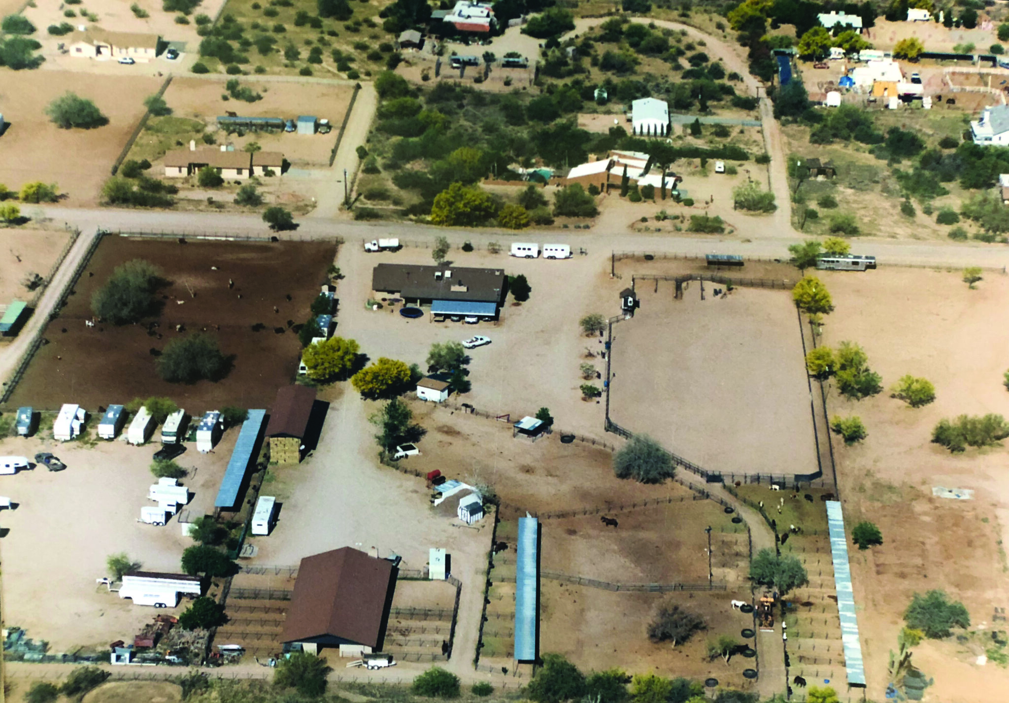 Arizona Team Roping Evolution