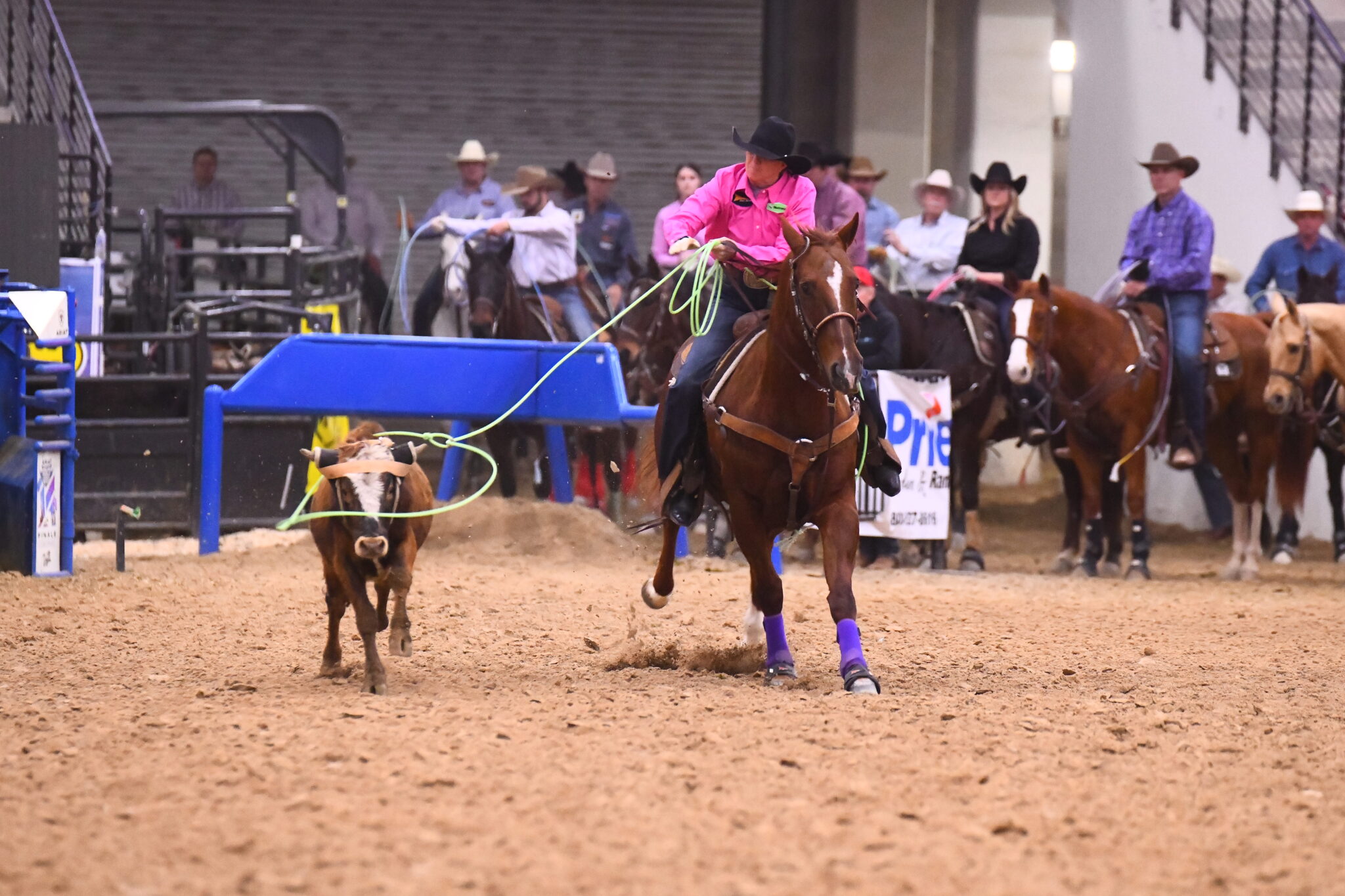 Roping's Richest Woman Jayme Marcrum
