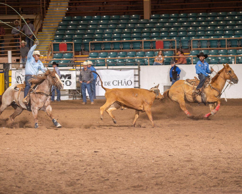 The List of 2022 NFR-Qualifying Heelers