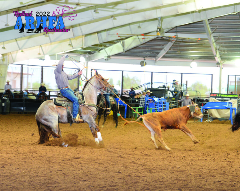 The American Rope Horse Futurity’s Top-Earners