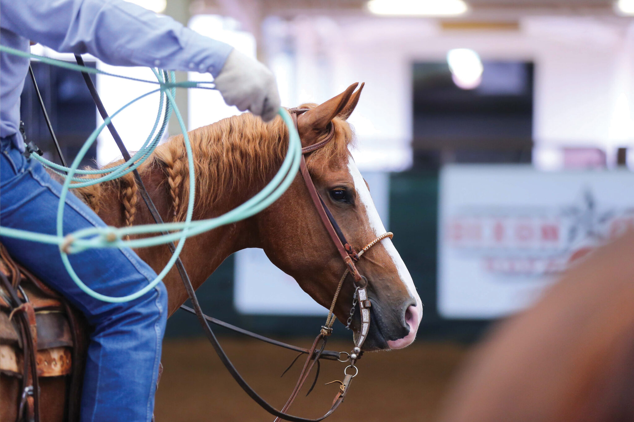 The American Rope Horse Futurity’s Top-Earners