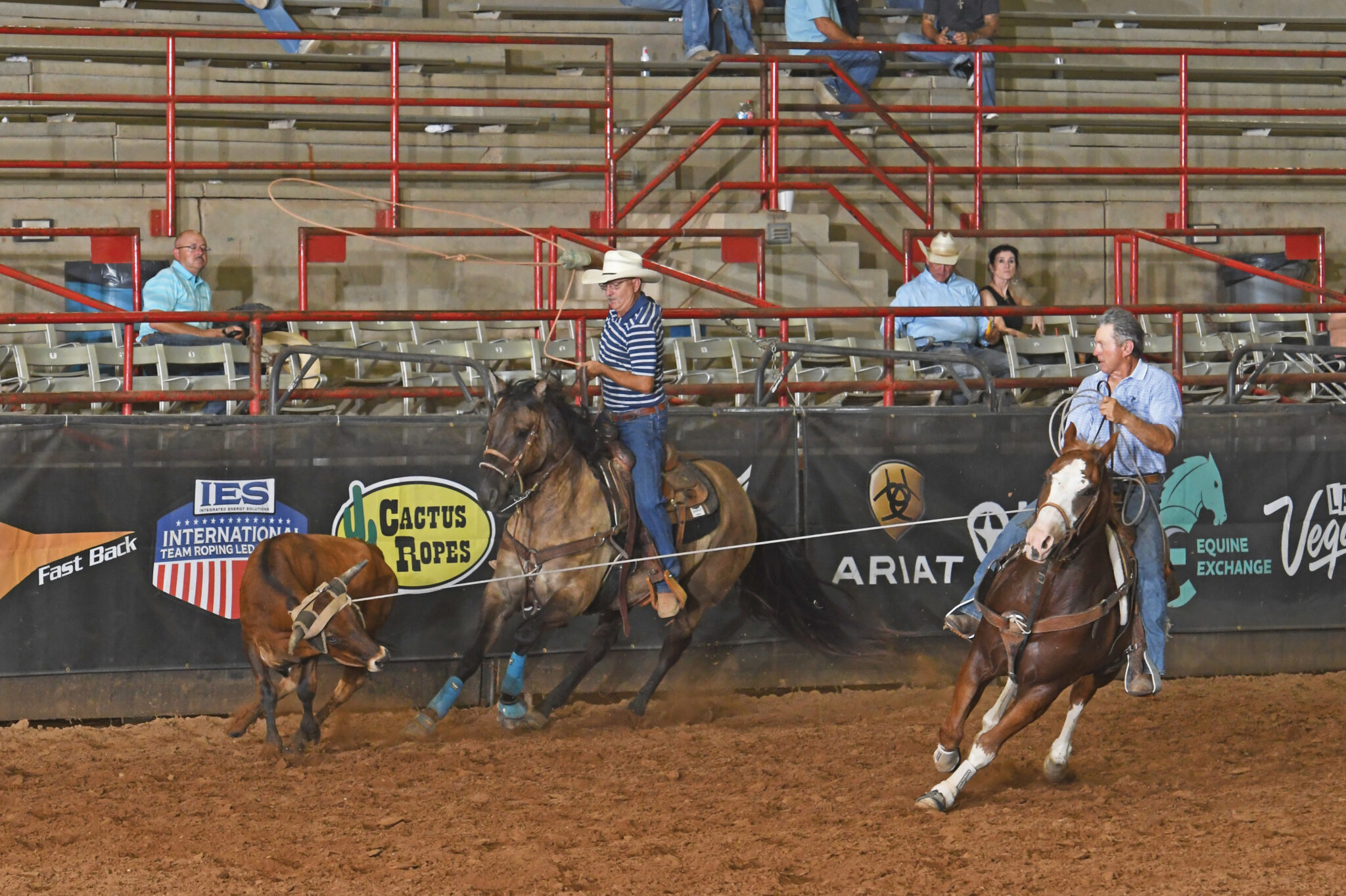 What Makes a Winner: Heeler's Edition