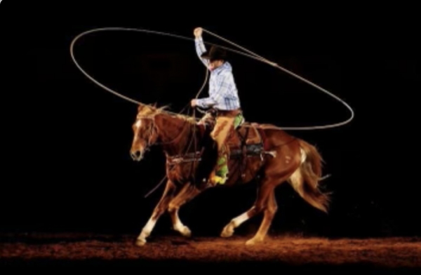 Anthony Lucia: The Roper Behind the Microphone