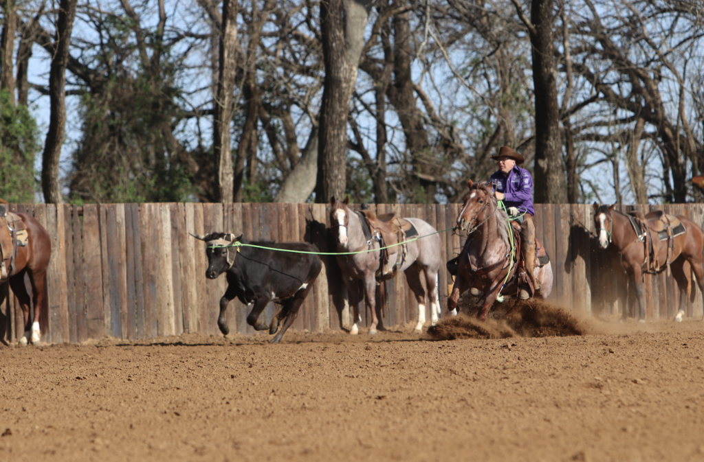 Here Are the Top 5 Team Roping Videos This Week.