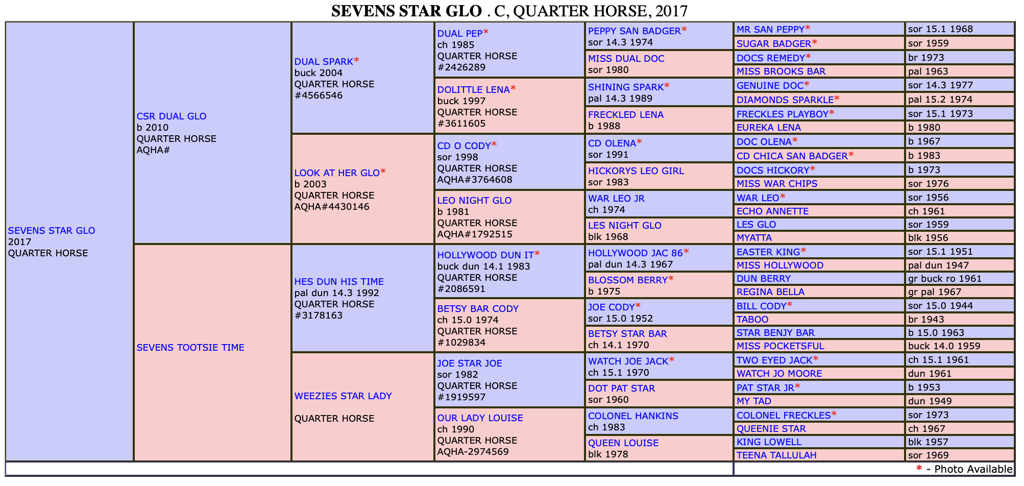 Cade Rice and Sevens Star Glo: ARHFA Heeling World Champs
