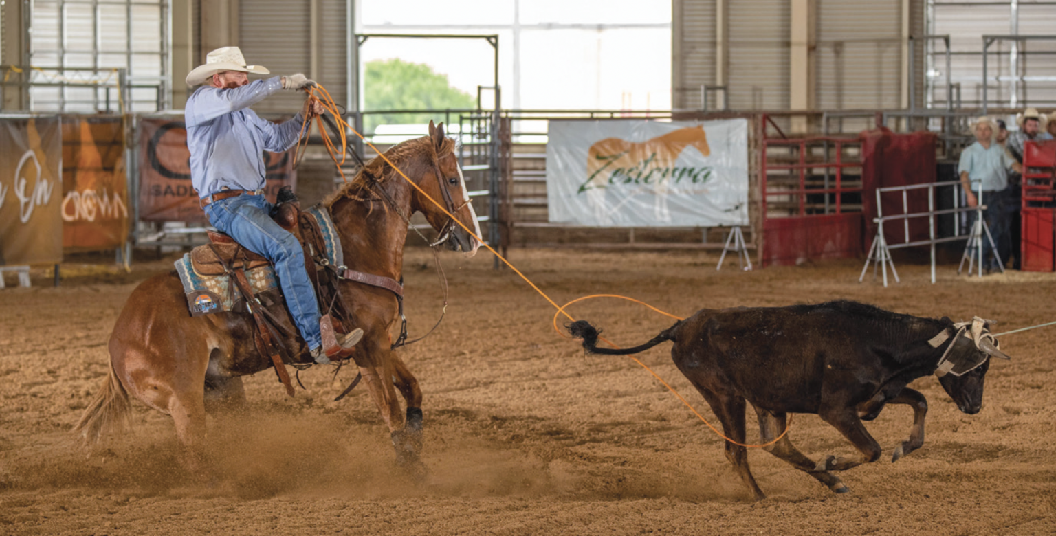 The American Rope Horse Futurity’s Top-Earners
