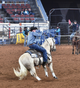 The American Rope Horse Futurity’s Top-Earners
