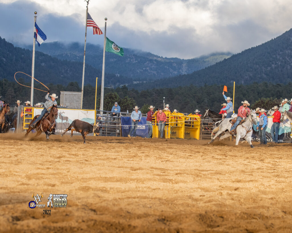 Jess A Moose is 2022's Head Horse of the Year