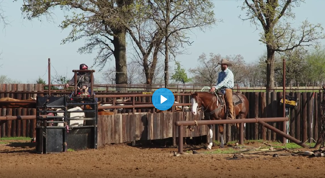 Roping Practice Session with Lund and Kirchenschlager
