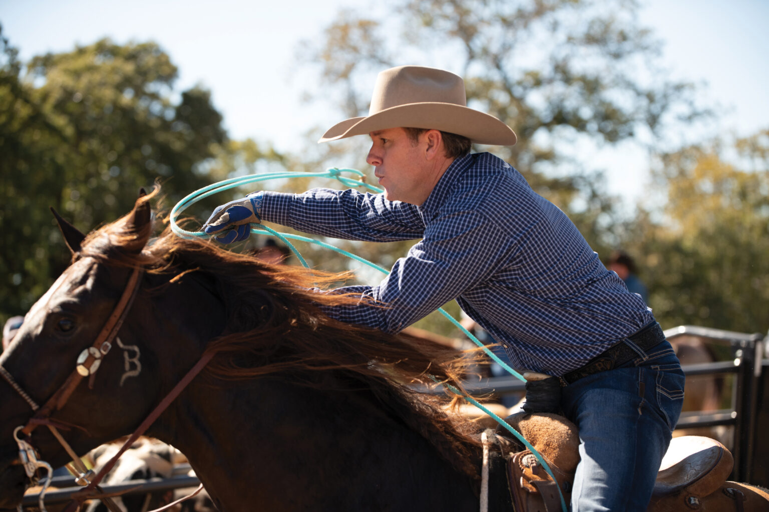 Roping’s Much-Needed Horsemanship Refocus