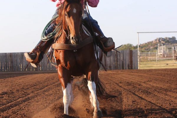 The Mechanics of the Sliding Stop