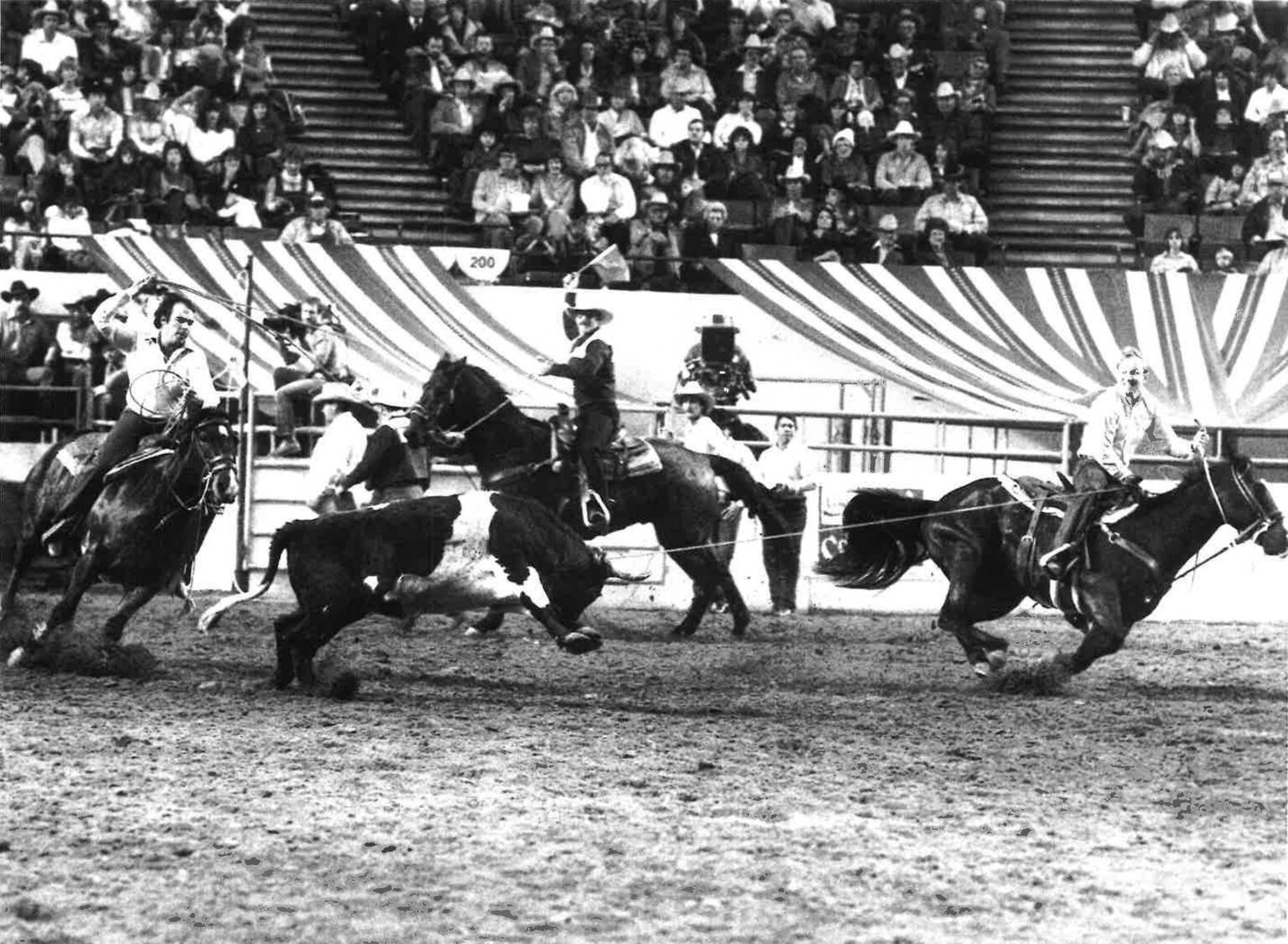 When Team Ropers Were Treated Like Second-Class Cowboys