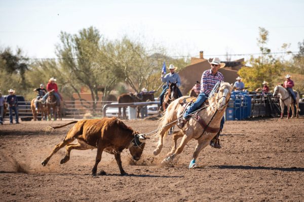 Cave Creek Team Roping Arenas - The Team Roping Journal