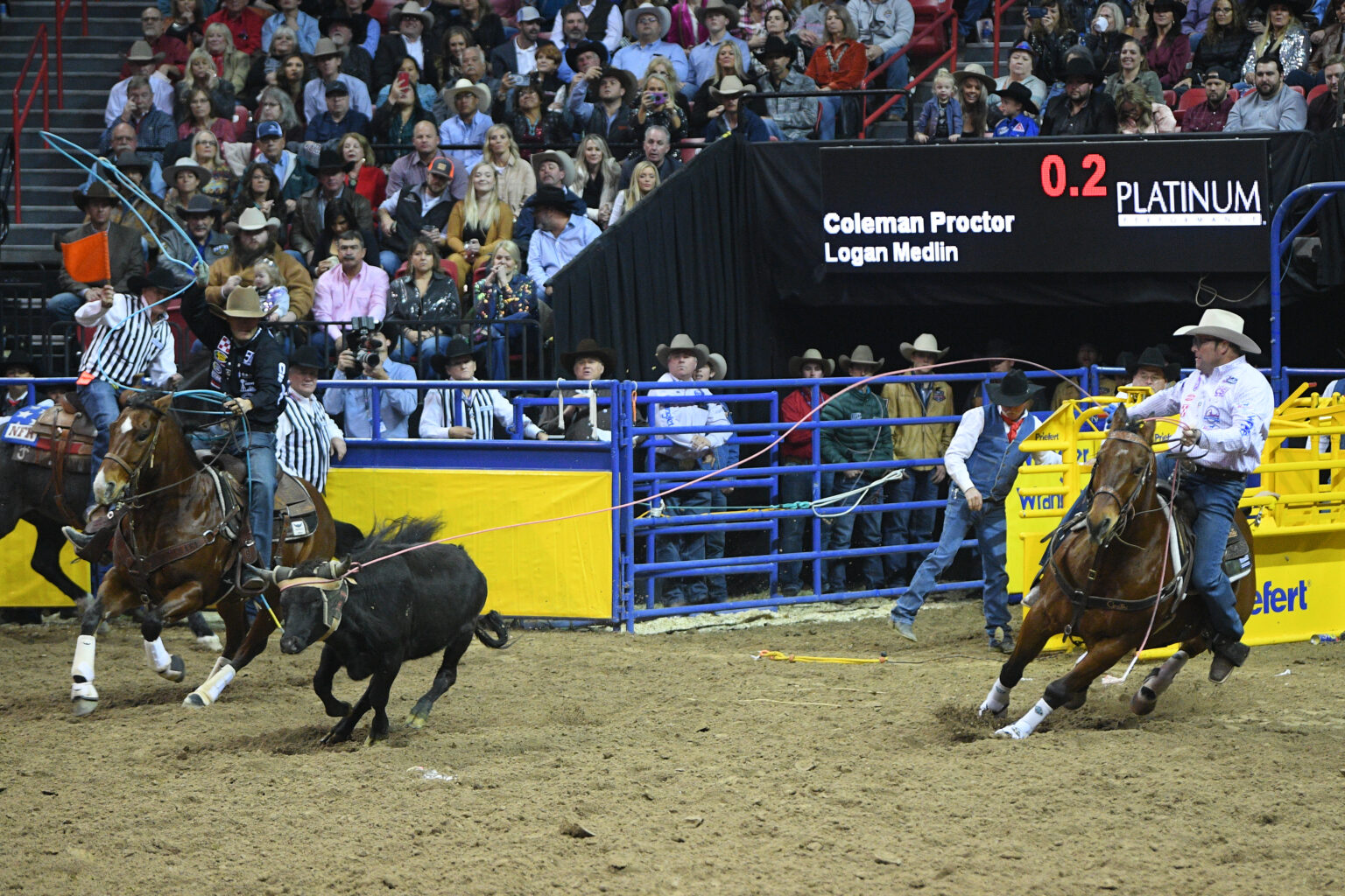 Proctor and Medlin: 2022 NFR Round 8 Team Roping Results