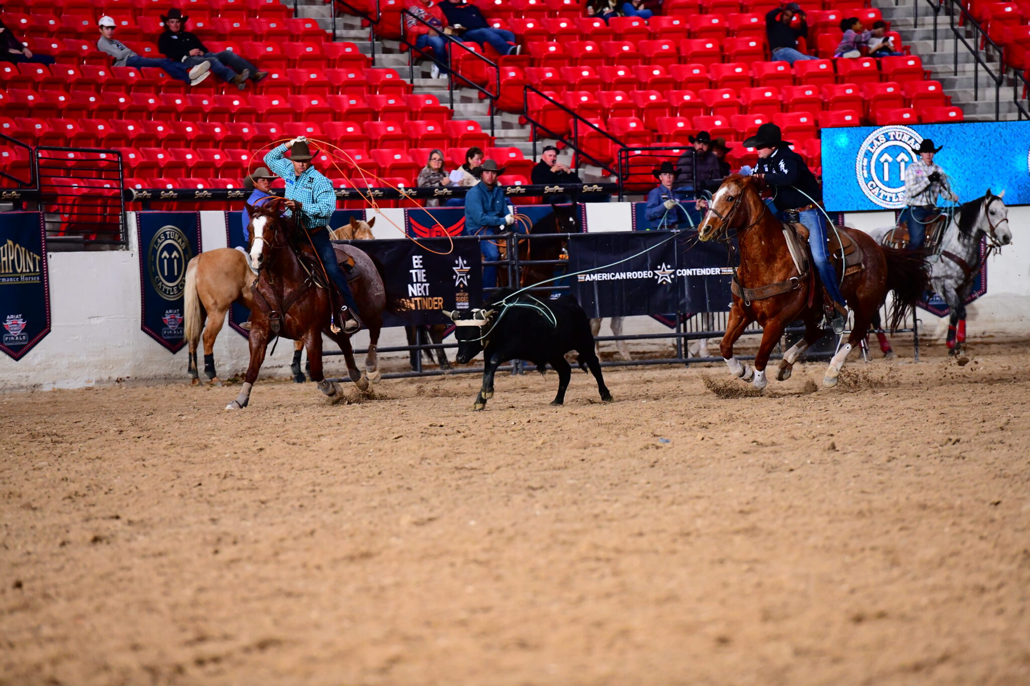 Final Results: Ariat World Series of Team Roping Finale XVI