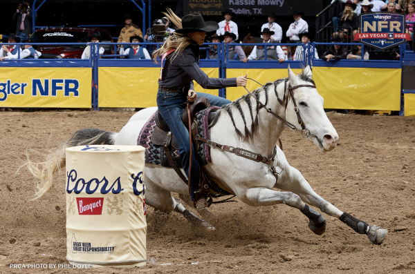 2023 Breeder's Guide Stallion: Epic Leader