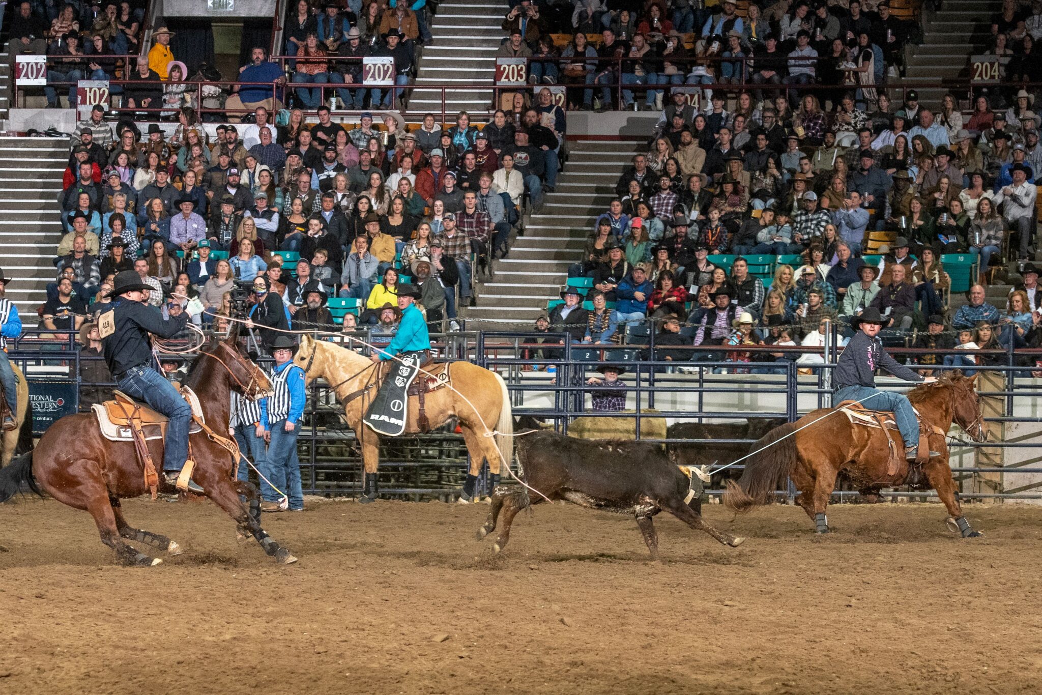 Keep up With 2023 National Western Stock Show Team Roping