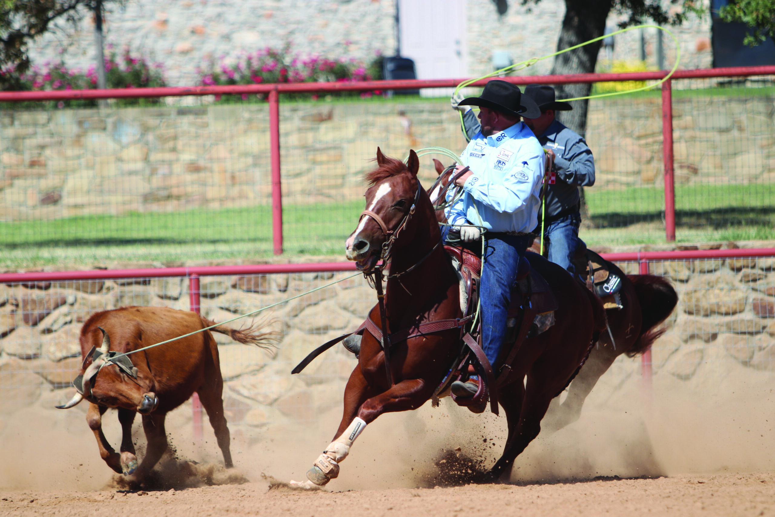 New Year, New Roping.com Videos