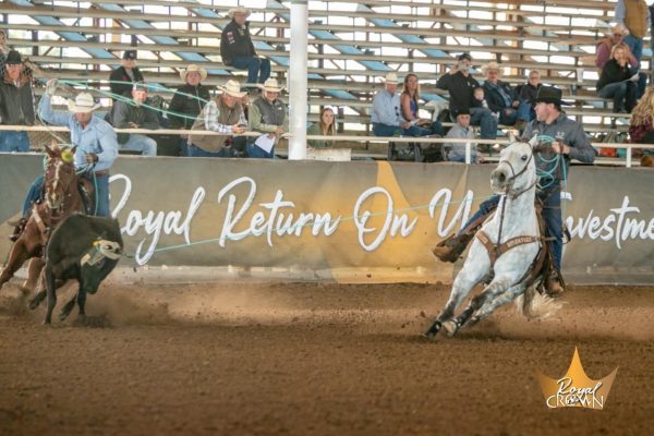 Team Roping Arenas in Buckeye, Arizona