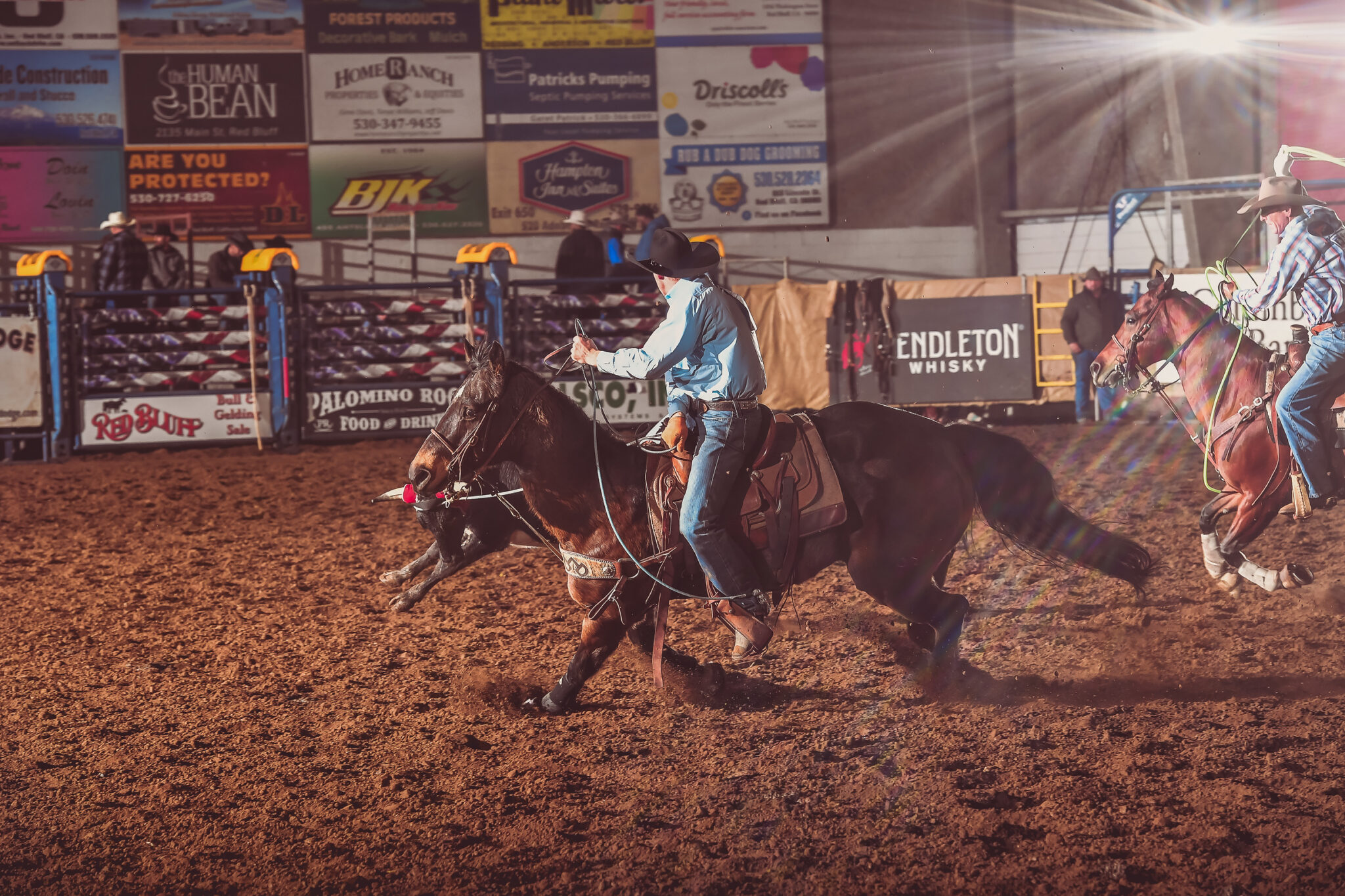 Dan Williams and Todd Hampton Win California Circuit Aggregate