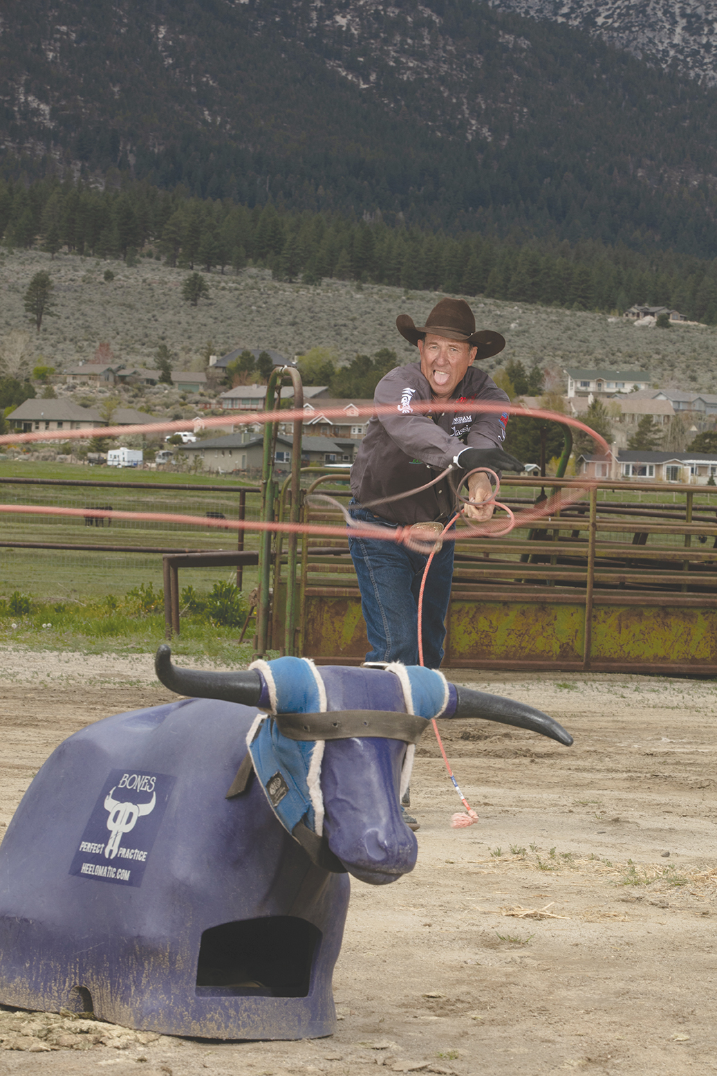 Digital Training Tools for Team Ropers