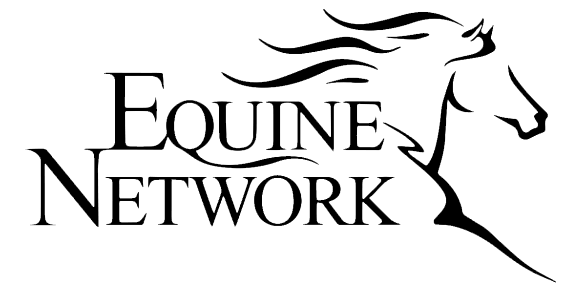 David Key Getting a Steer's Head in the Corner