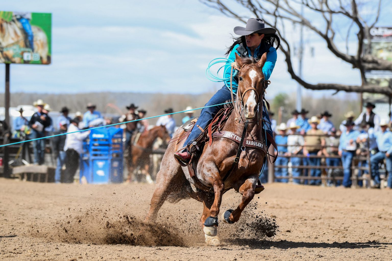 Wilsons’ Honkey Tonk is Horse Sale at Rancho Rio High Seller