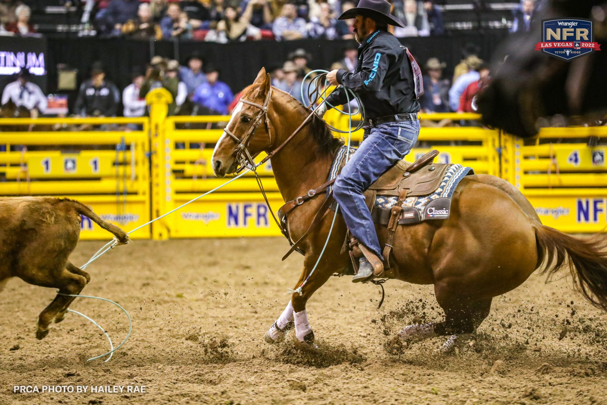 Million-Dollar Loops: Jeremy Buhler Crosses ProRodeo’s $1M Mark