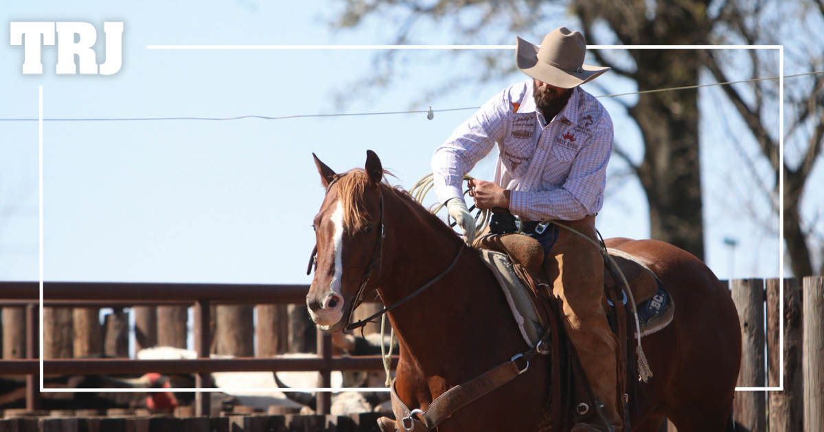 7 Tips for Managing a Rope Horse That Gets Too Strong