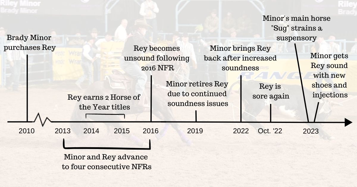 Brady Minor Brings Back Horse of the Year “Rey” - The Team Roping Journal