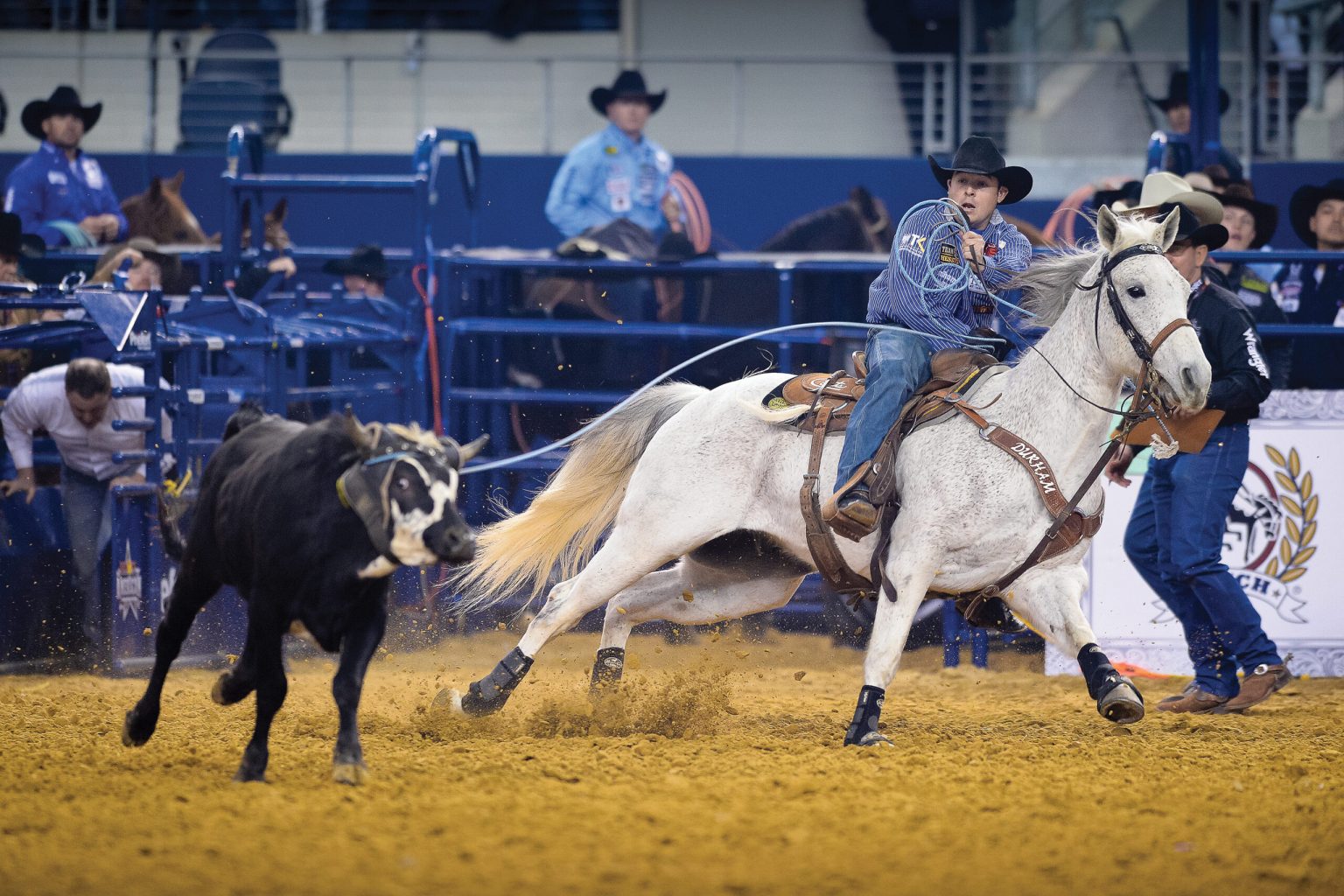 Driggers' Yahtzee and Gangster at WRWC 2024 - The Team Roping Journal