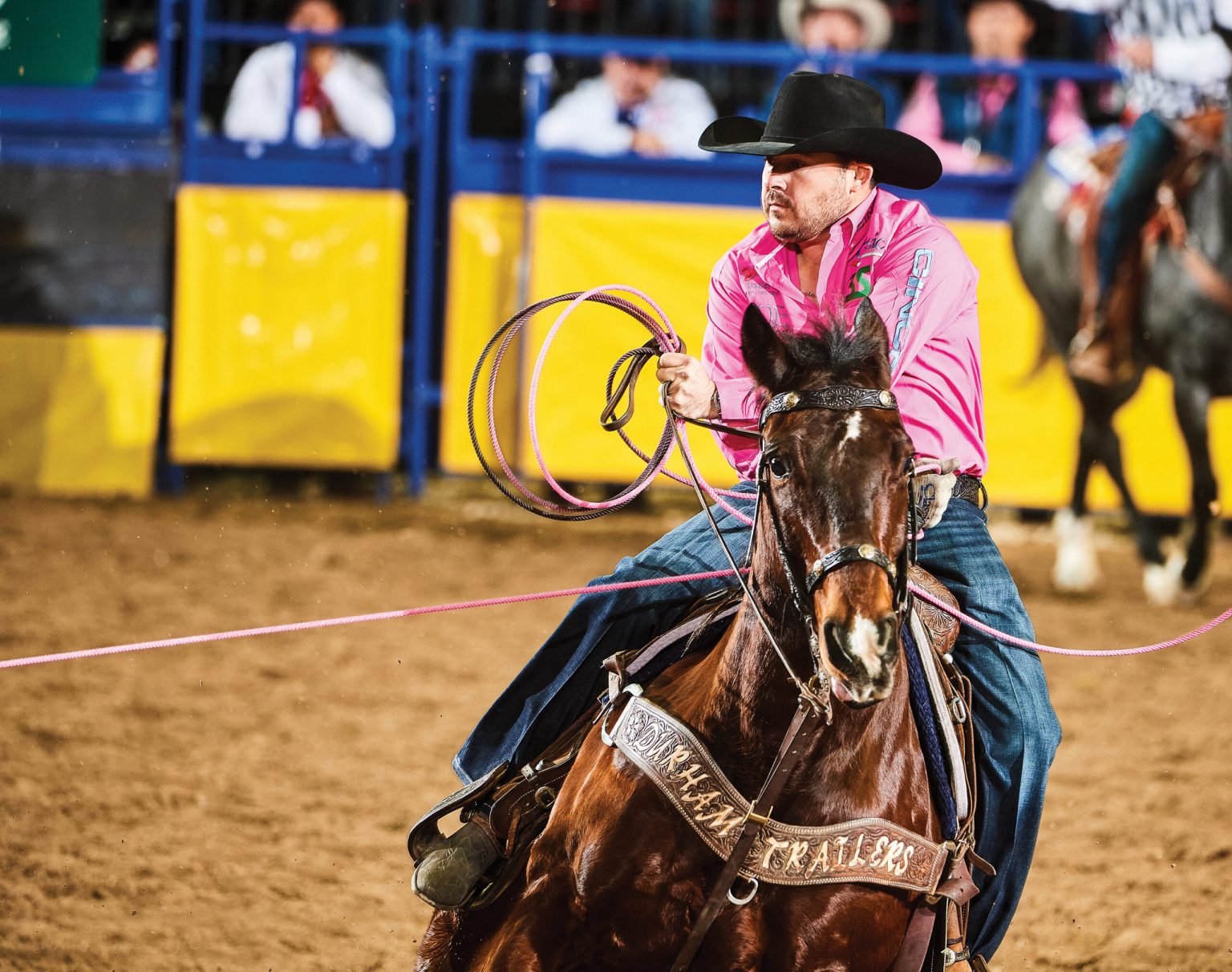 2023 NFR Round 1 Head Horses