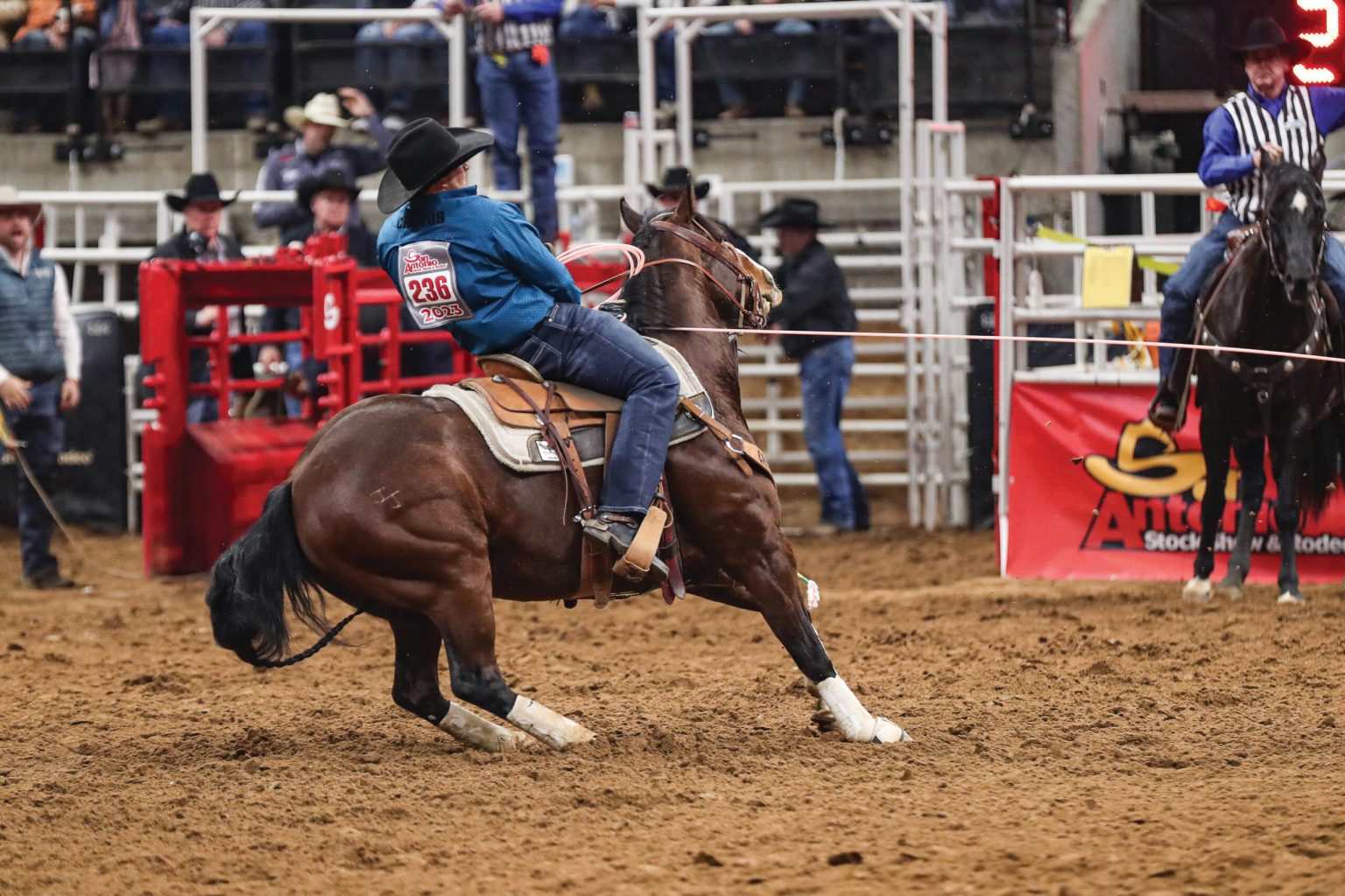 Levi Lord’s Horse Birdie Has Been a Godsend