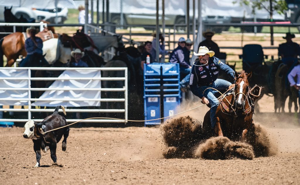 Re-Released: The Rise and Re-Birth of Rodeo Video