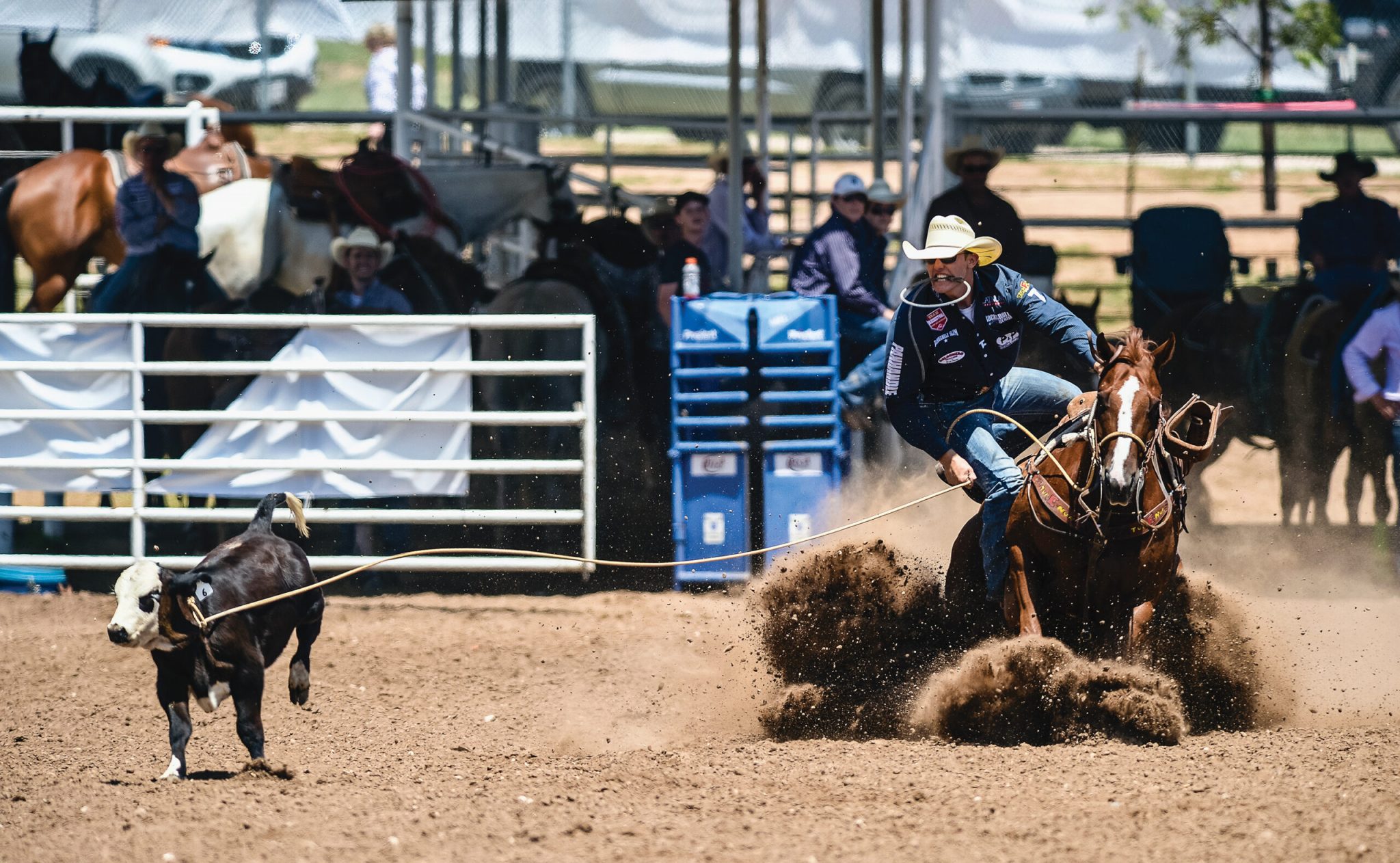 Re-Released: The Rise and Re-Birth of Rodeo Video