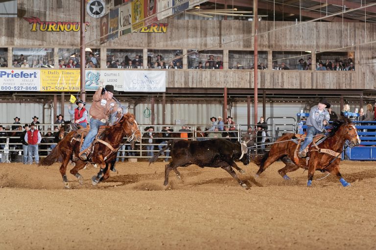 Re-Released: The Rise and Re-Birth of Rodeo Video