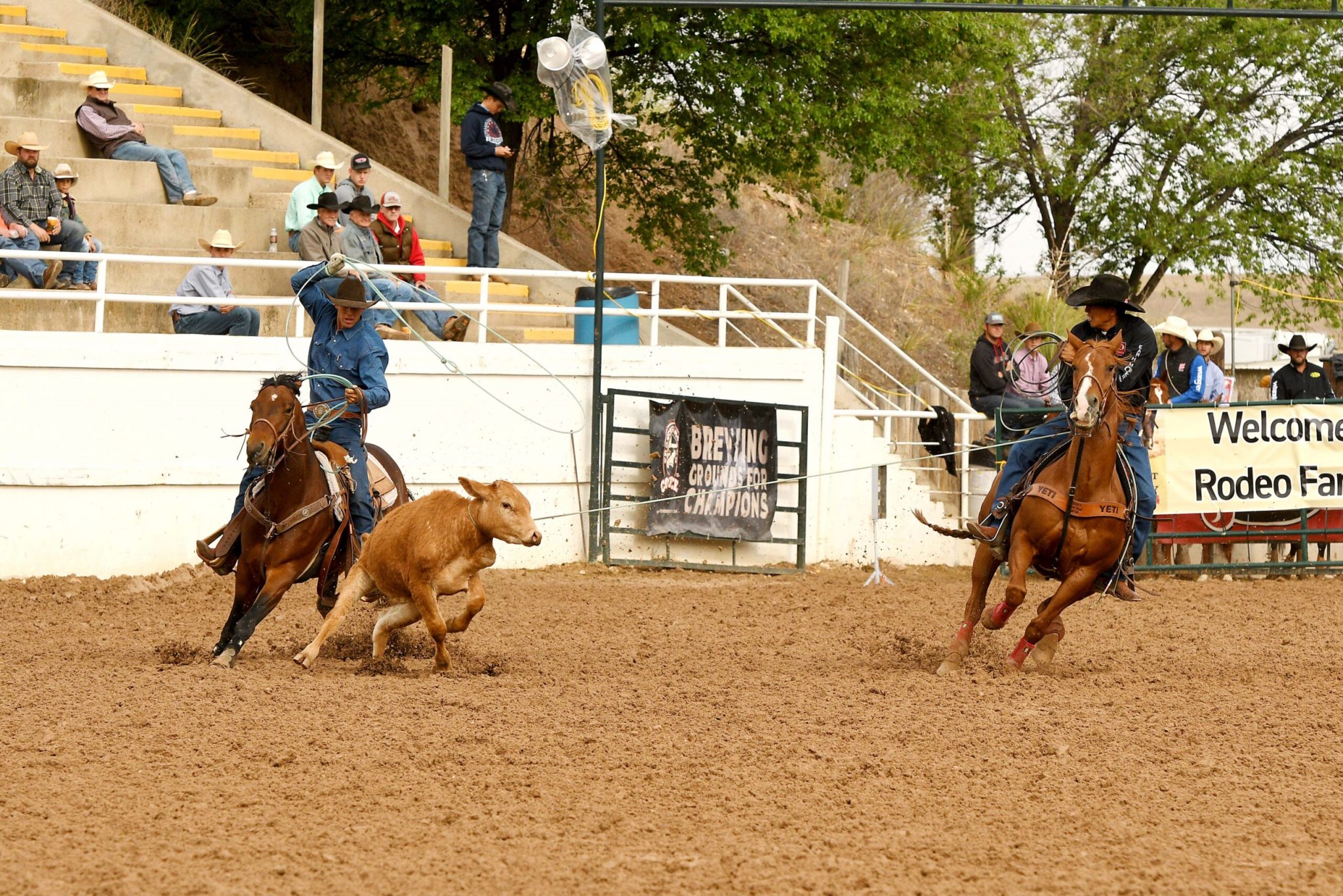 ProRodeo Results Wrap-Up May 4-7, 2023