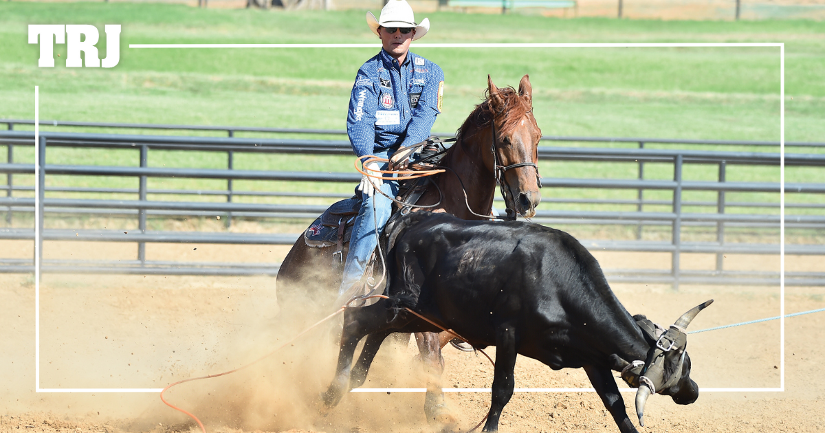 Training Young Rope Horses - Building Confidence